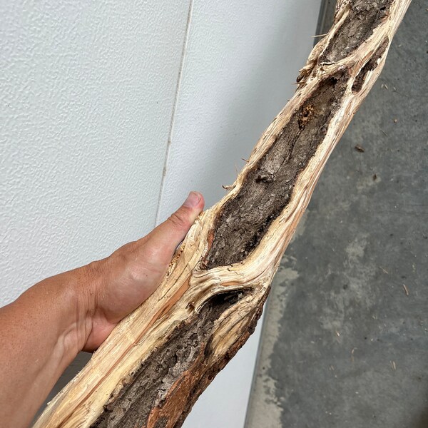 Renaissance Festival Walking Stick - Etsy