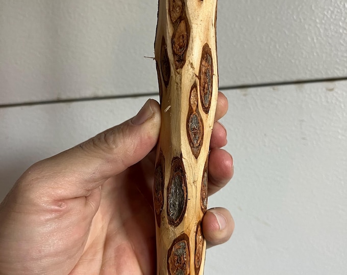Diamond Willow CHEETAH 100s PATTERNS Wood CARVING Blank, Walking Stick ...