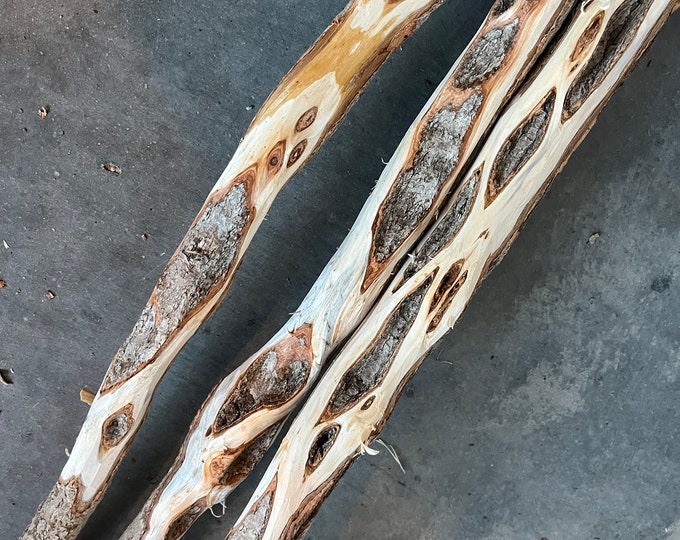 60" Diamond Willow (AMAZING BEAUTIES) Trekking, Walking Stick, Wood ...