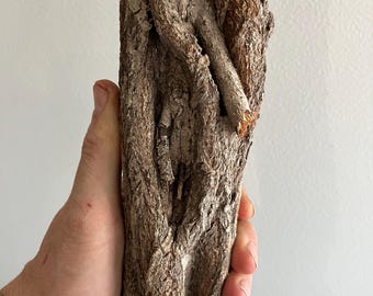 74" Diamond Willow (amazing long Red Ribbons) Staff, Wood CARVING Blank ...