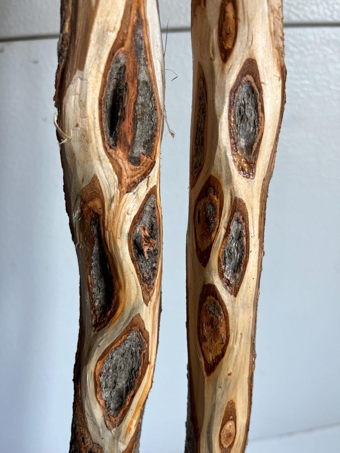 Diamond Willow (2~YOU Carve Trekking Sticks) Walking Stick, Woodworking ...