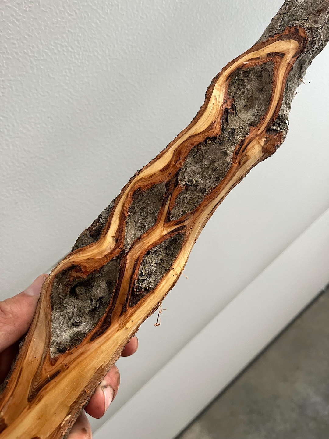 39" Diamond Willow (PHENOMENAL & Rare~you Carve) Cane, Wood CARVING ...
