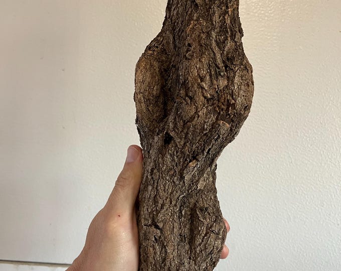 72" Diamond Willow (WOW! BIG & BURLY) Wizard Staff, Walking Stick ...