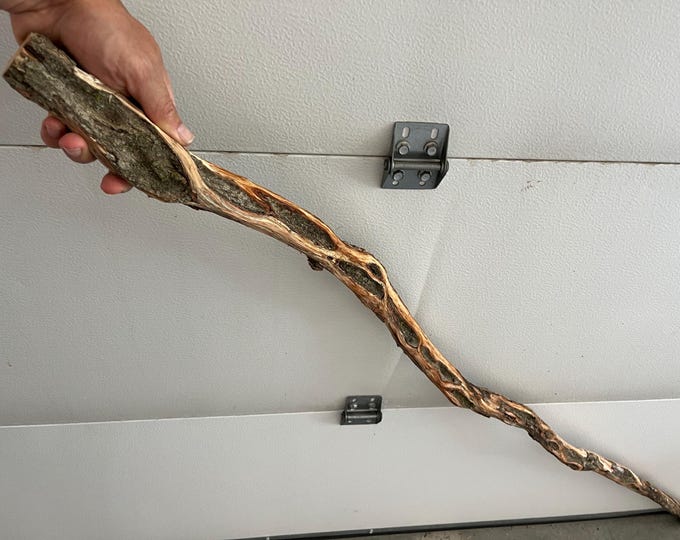 64" Diamond Willow (LONG Red Diamonds) Staff, Wood CARVING Blank ...