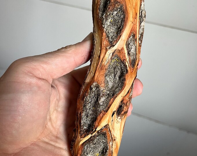 67" Diamond Willow (PHENOMENAL & Rare~you Carve)walking Stick, Cane ...