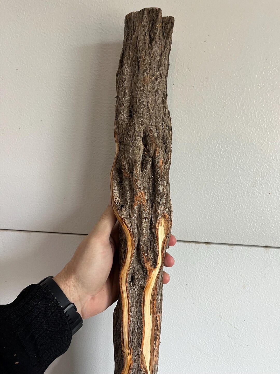 69 Diamond Willow BIG & PHENOMENAL STAFF You Carve, Walking Stick ...