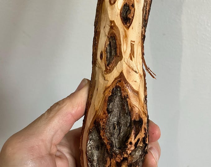 Diamond Willow Staff: 58" Walking Stick, 'you Carve' Cane, Twisted ...