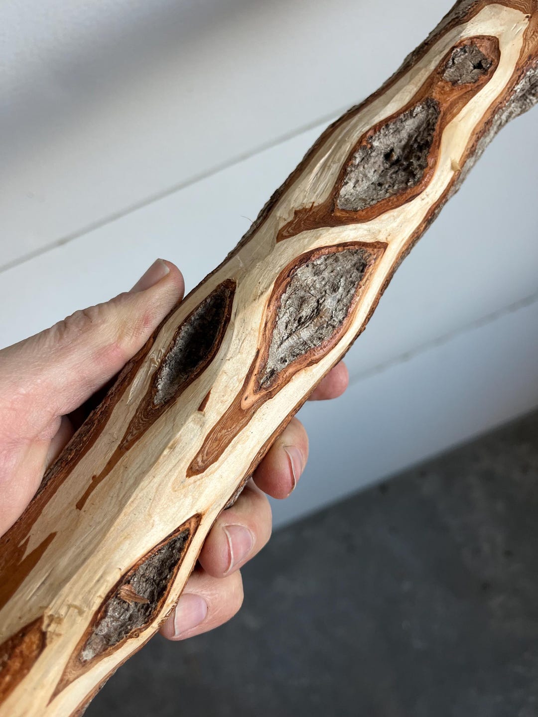 65" Diamond Willow (AMAZING Staff) Wood CARVING, Walking Stick ...