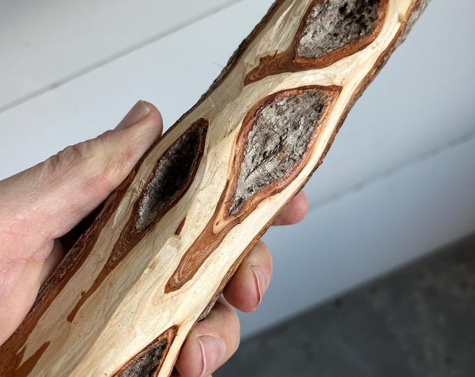 65" Diamond Willow (AMAZING Staff) Wood CARVING, Walking Stick ...