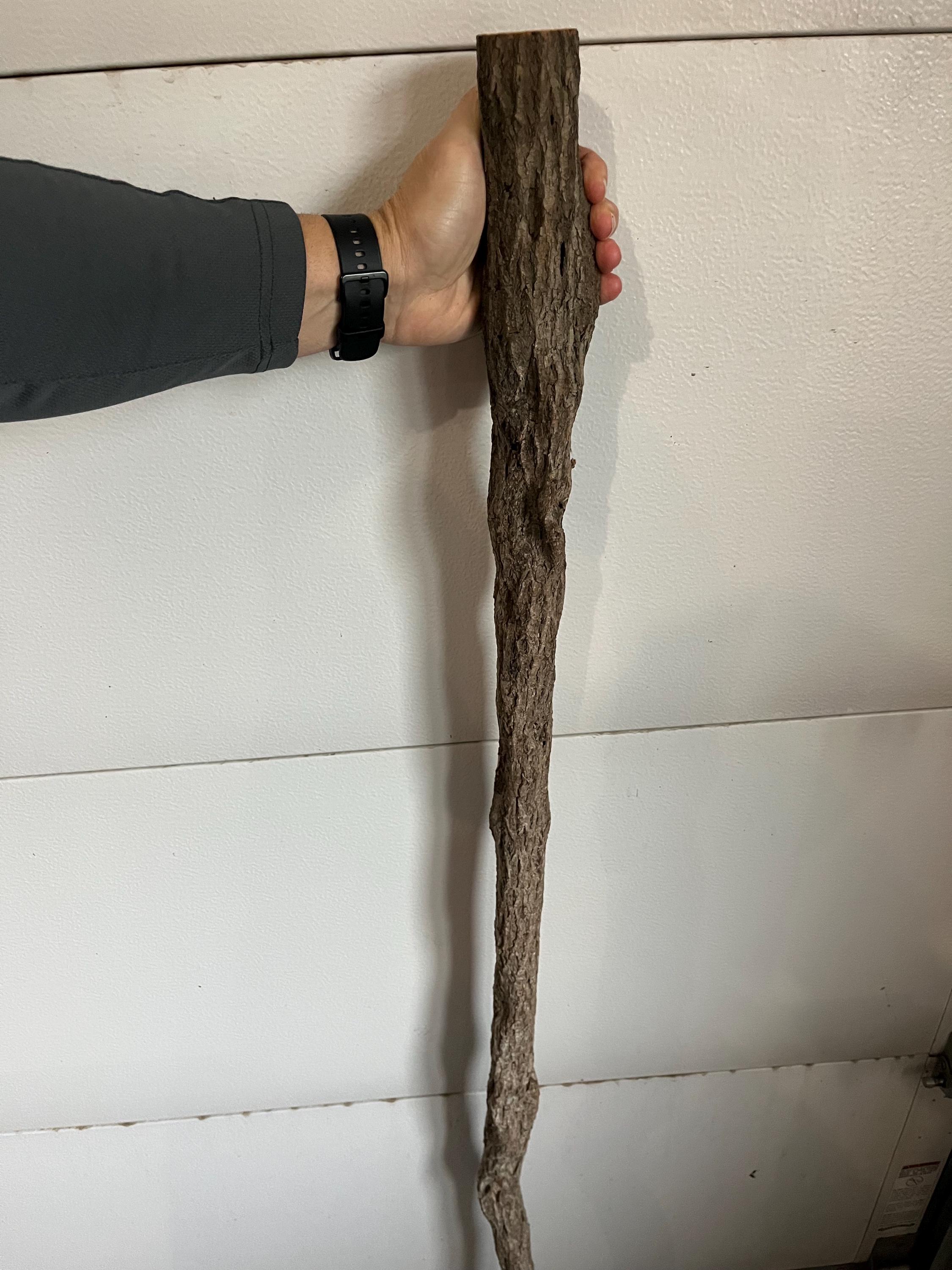 Diamond Willow Staff: 58" Walking Stick, 'you Carve' Cane, Twisted ...