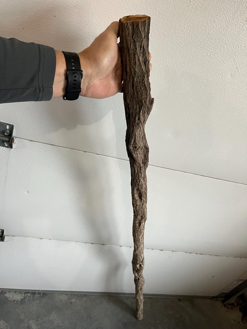 Diamond Willow Staff: 58" Walking Stick, 'you Carve' Cane, Twisted ...