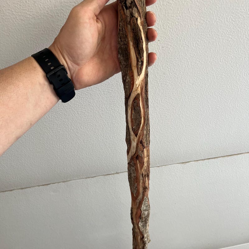 Diamond Willow Walking Stick - Etsy
