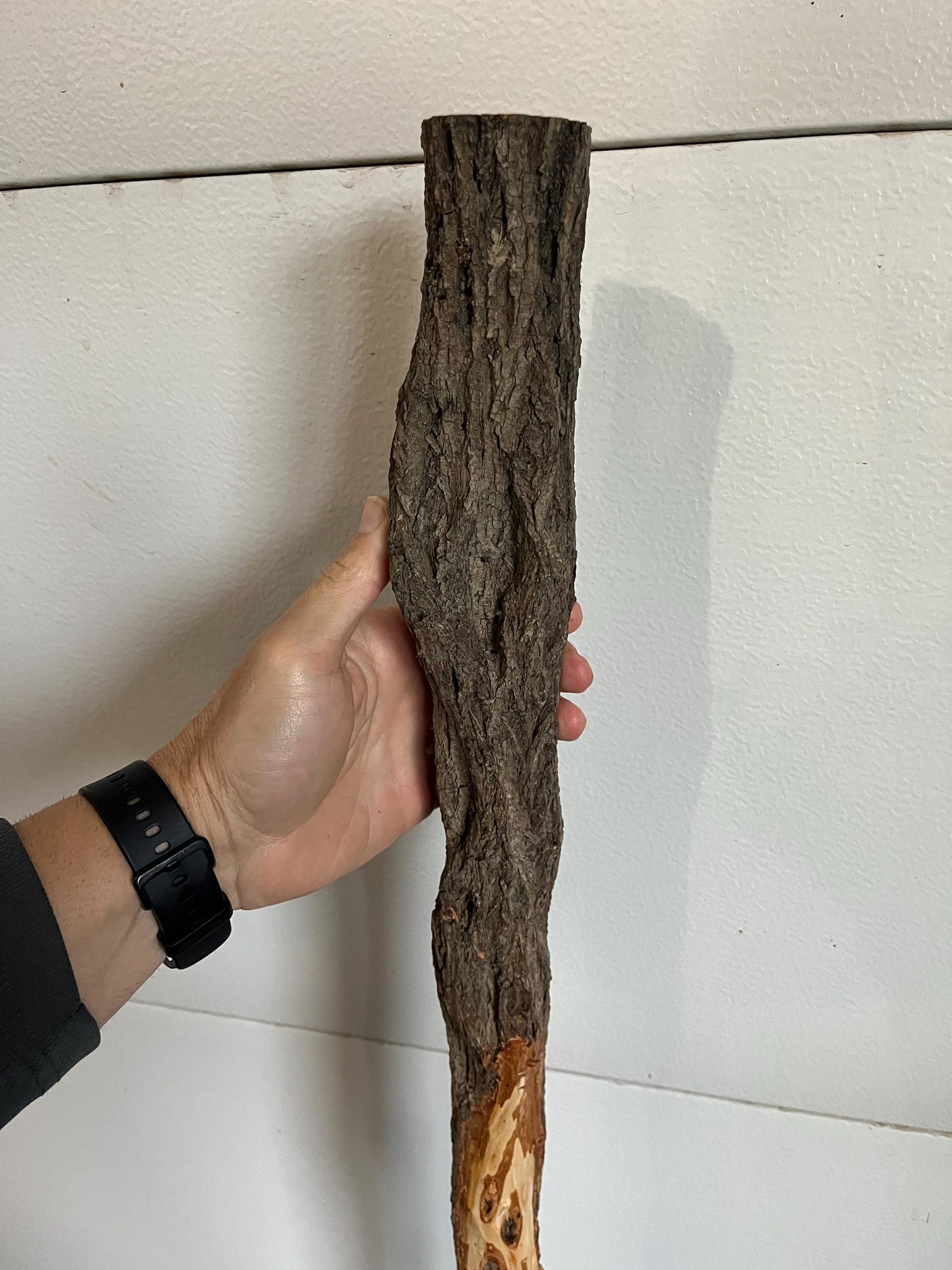 Diamond Willow Staff: 58" Walking Stick, 'you Carve' Cane, Twisted ...