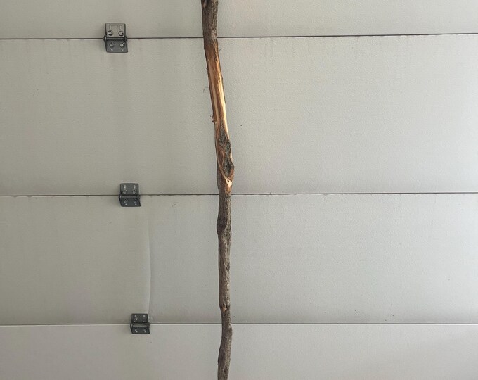 64" Diamond Willow (LONG Red Diamonds) Staff, Wood CARVING Blank ...
