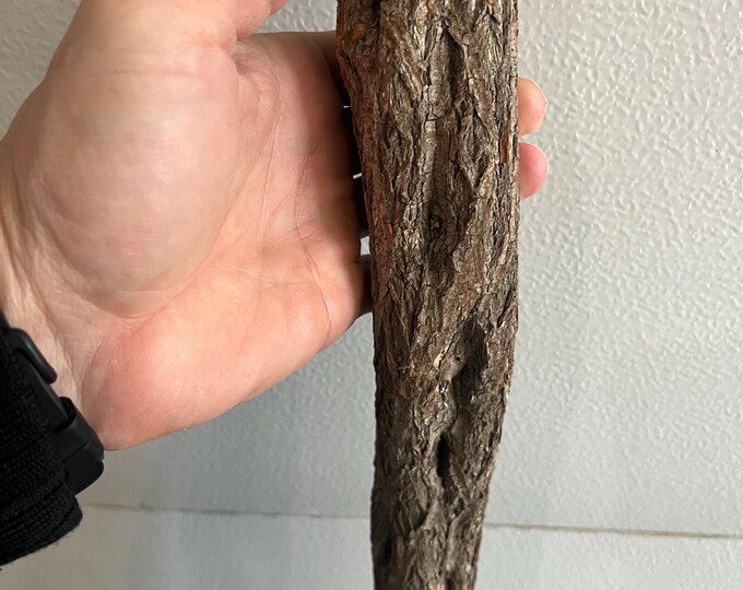 60" Diamond Willow (ARTISTIC PATTERNS) Wood CARVING, Walking Stick ...