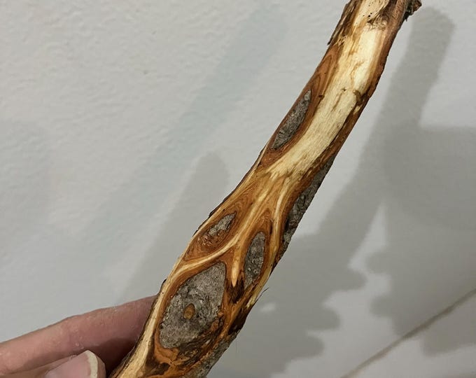 Diamond Willow (REAL MAGICAL Wand) Wizard, Wood CARVING Blank, Twisted ...