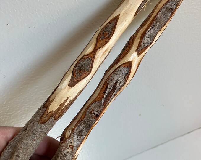 Diamond Willow 2x WOW WAND Wizard, Wood CARVING Blank, Twisted ...