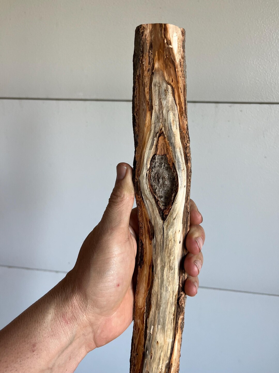 61" (BUCK Rub CONTRAST) Diamond Willow, Staff, Wood CARVING, Walking ...