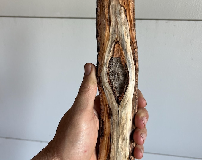 61" (BUCK Rub CONTRAST) Diamond Willow, Staff, Wood CARVING, Walking ...