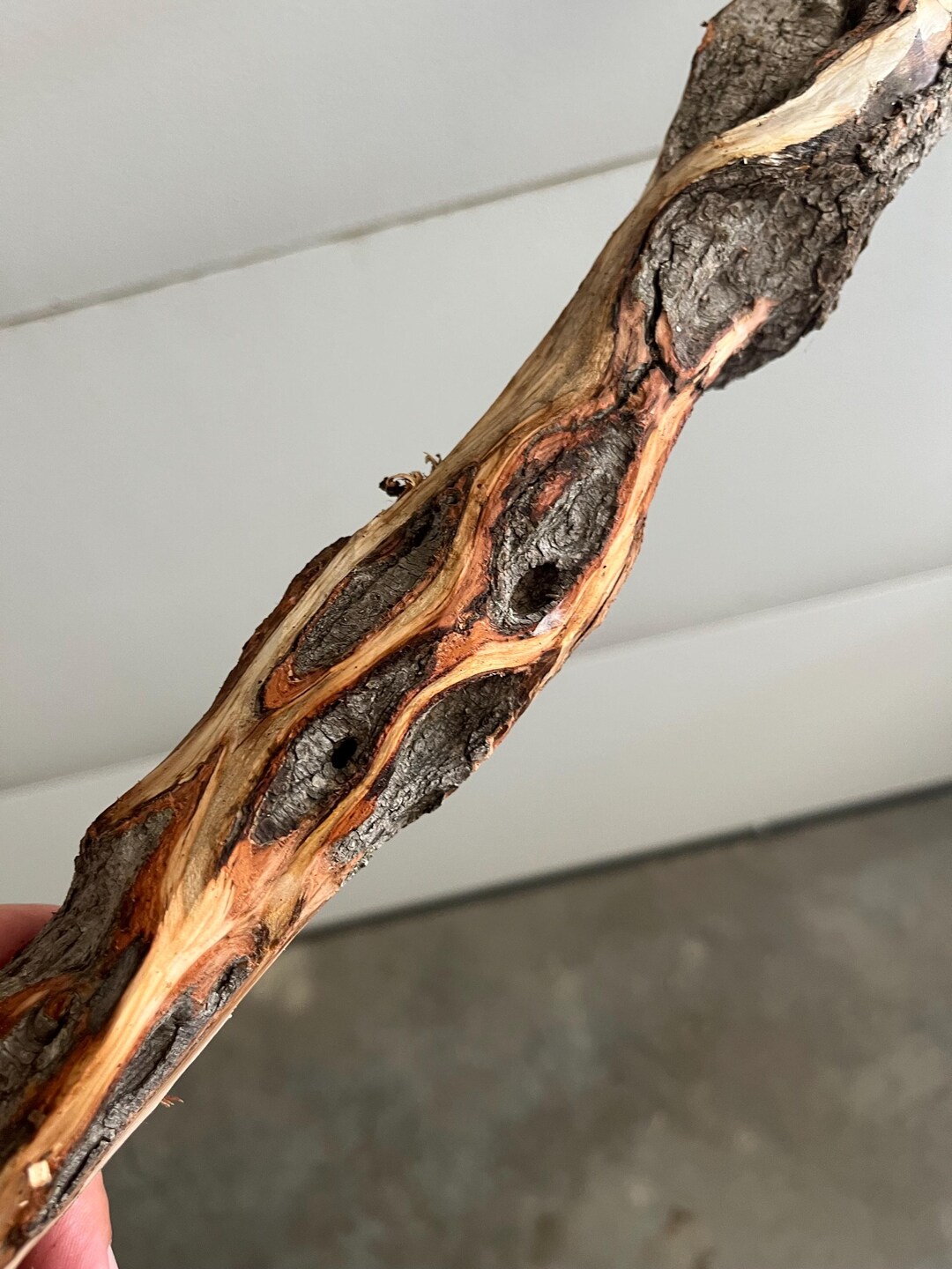 38" Diamond Willow (GORGEOUS 30+ DOGLEG) Cane Blank, Walking Stick ...