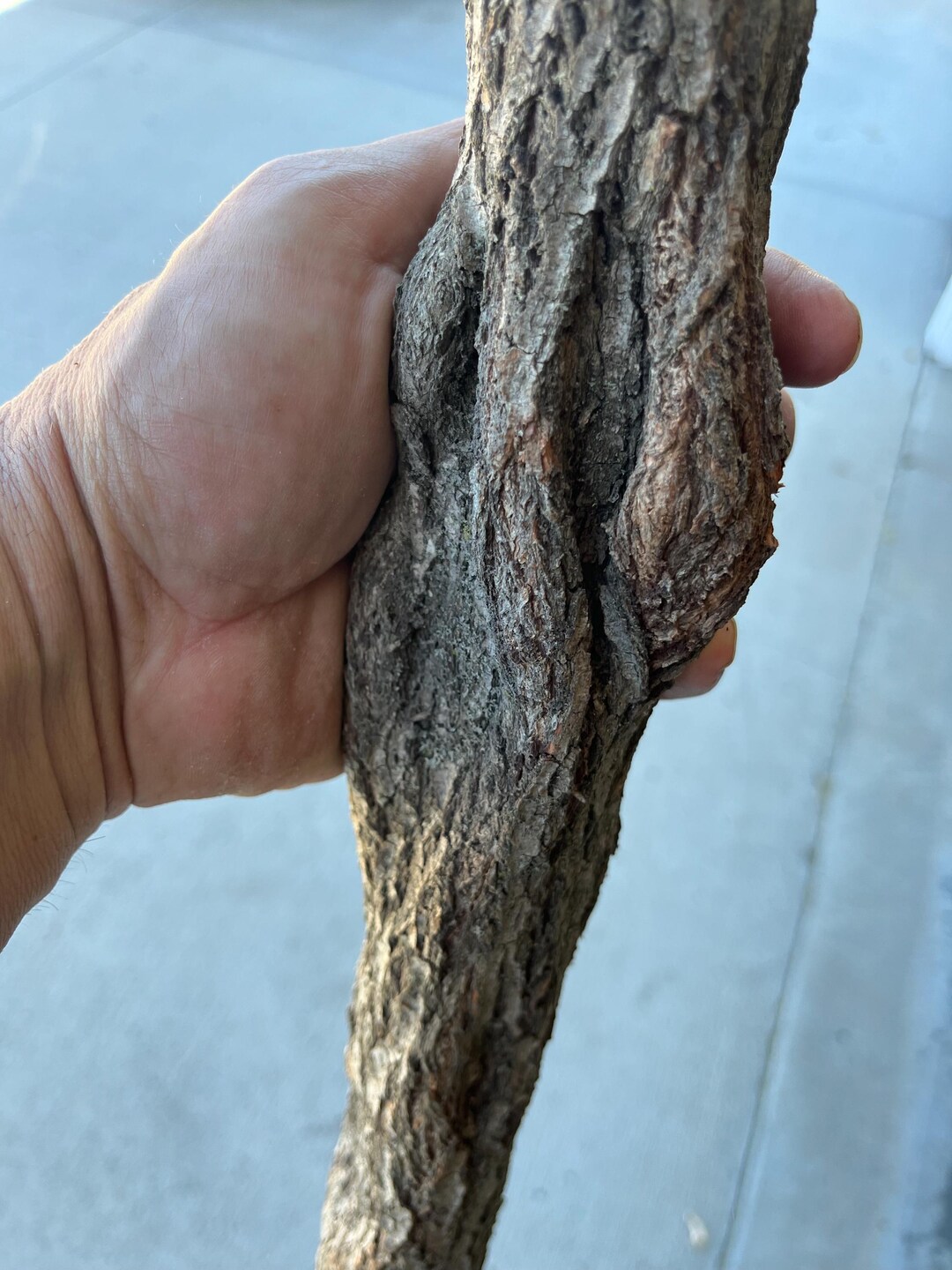 58 Diamond Willow PHENOMENAL s Wood CARVING, Walking Stick, Staff ...