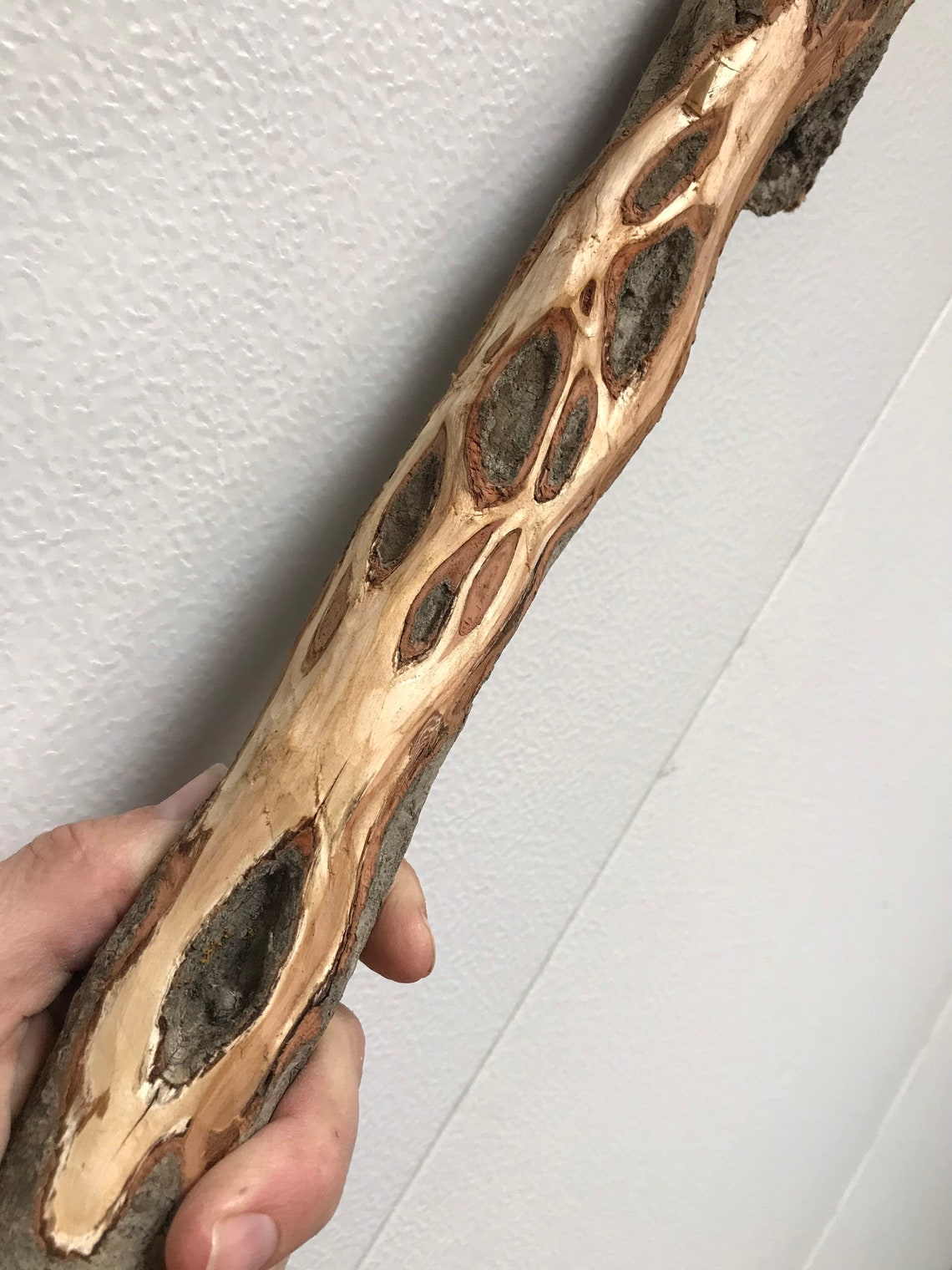 Diamond Willow UNCARVED w/ 50 DIAMONDS Walking Stick Cane | Etsy