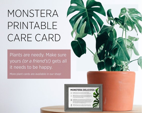Monstera Plant Care Card Template DOWNLOAD EDIT & PRINT | Etsy