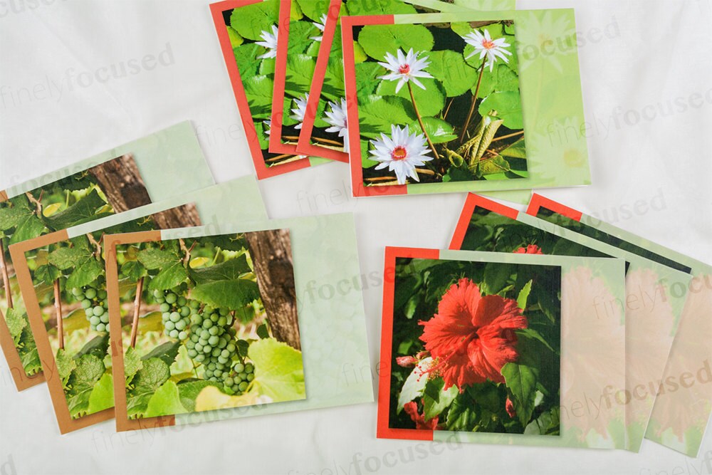 Mix&match NOTE CARDS 10 Pack You Choose Any Combination - Etsy