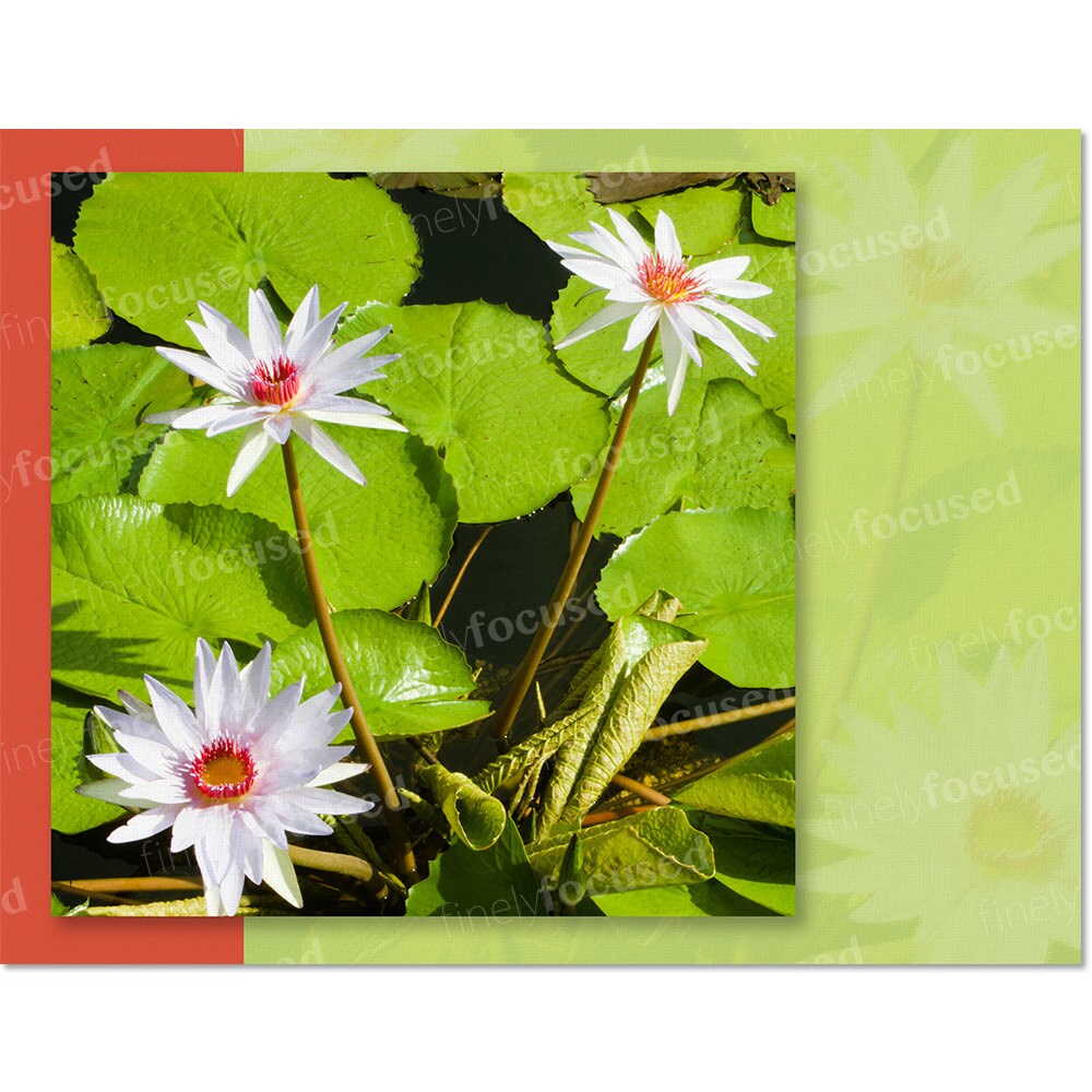 Mix&match NOTE CARDS 10 Pack You Choose Any Combination - Etsy