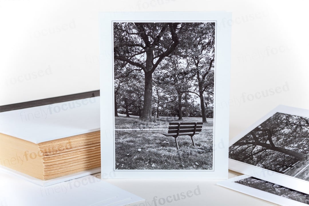Pack of 3 NOTE CARDS B&w Photo Park-bench-trees Put a Friend in This ...