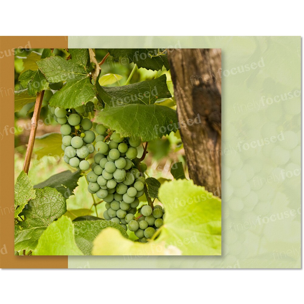 Mix&match NOTE CARDS 10 Pack You Choose Any Combination - Etsy