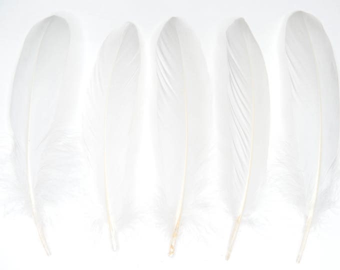 Large Natural White Goose Feathers - Etsy UK