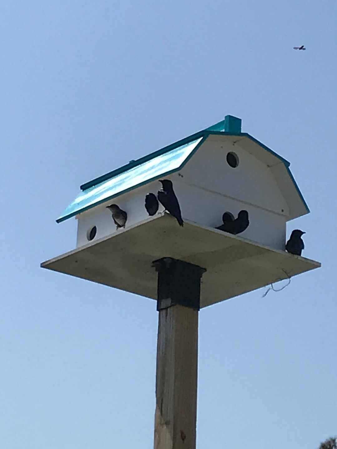 Purple Martin Home - 8 Chamber, Barn Style Roof - Etsy