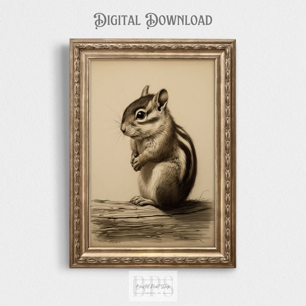 Chipmunk Art - Etsy