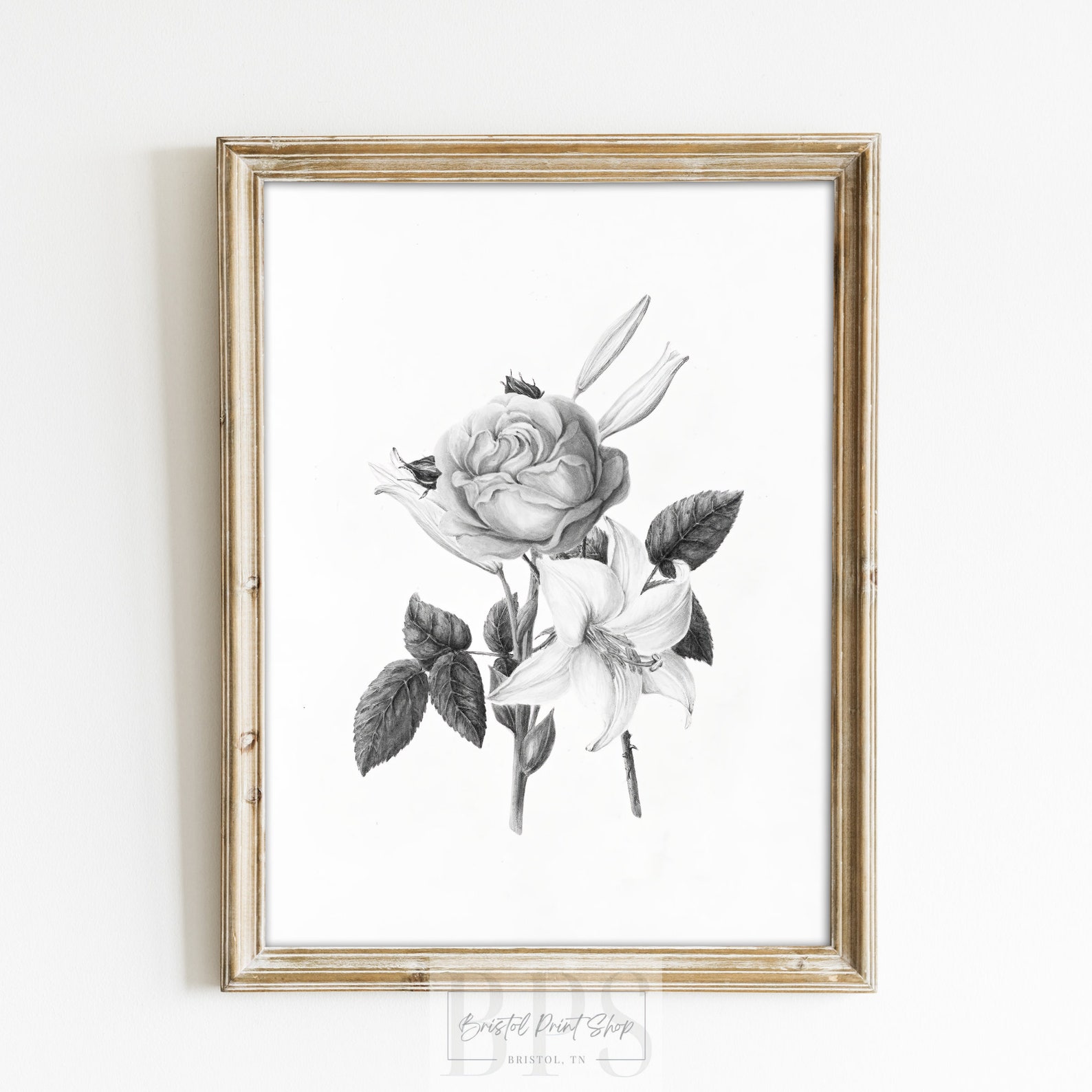 Vintage Botanical Print | Black and White Art | 19th Century ...