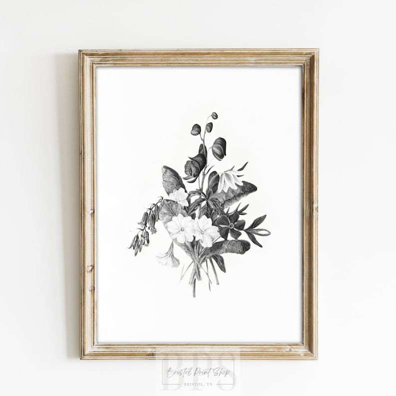 Vintage Botanical Print | Black and White Art | 19th Century ...