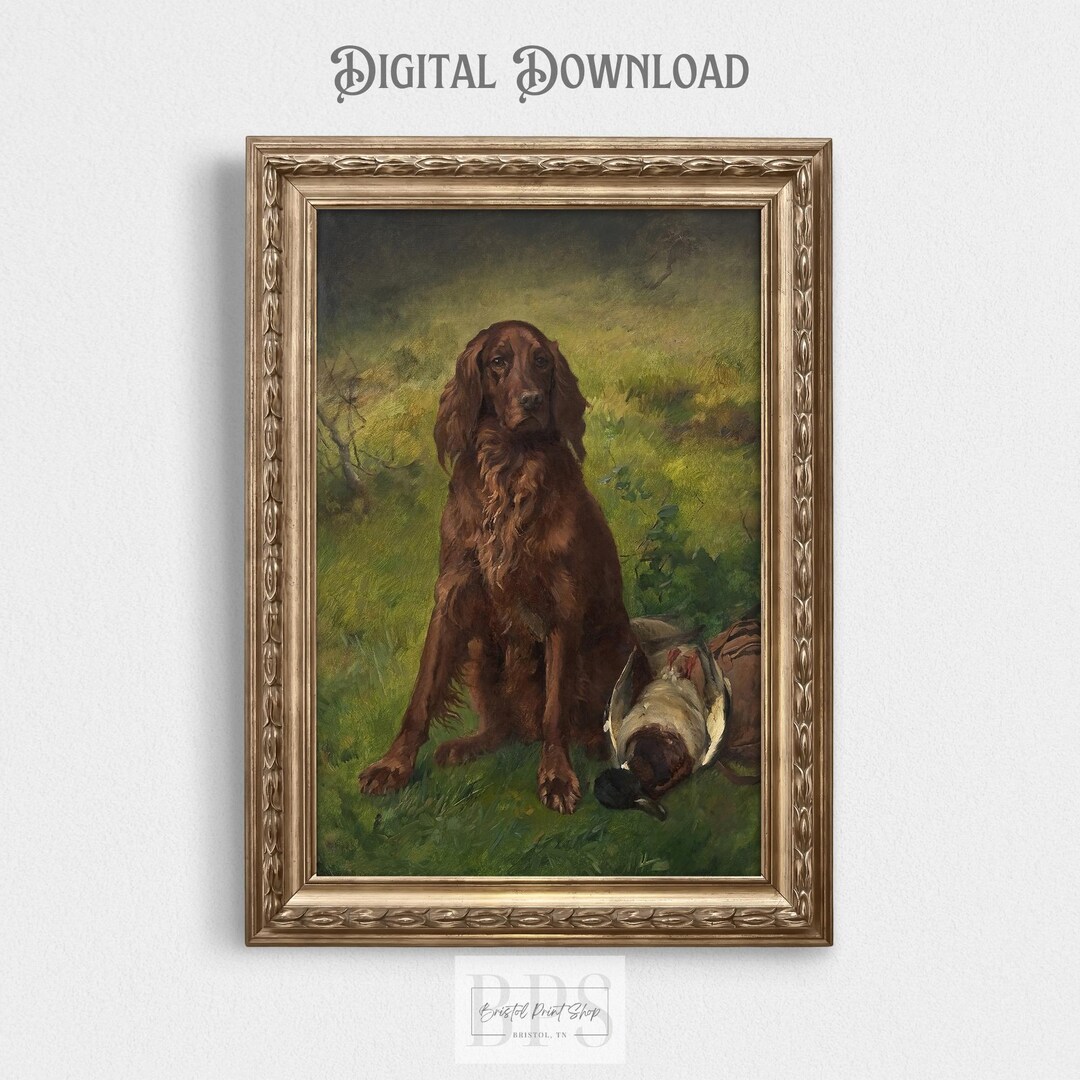 Vintage Hunting Dog Art | Antique Irish Setter Wall Art | 19th Century ...