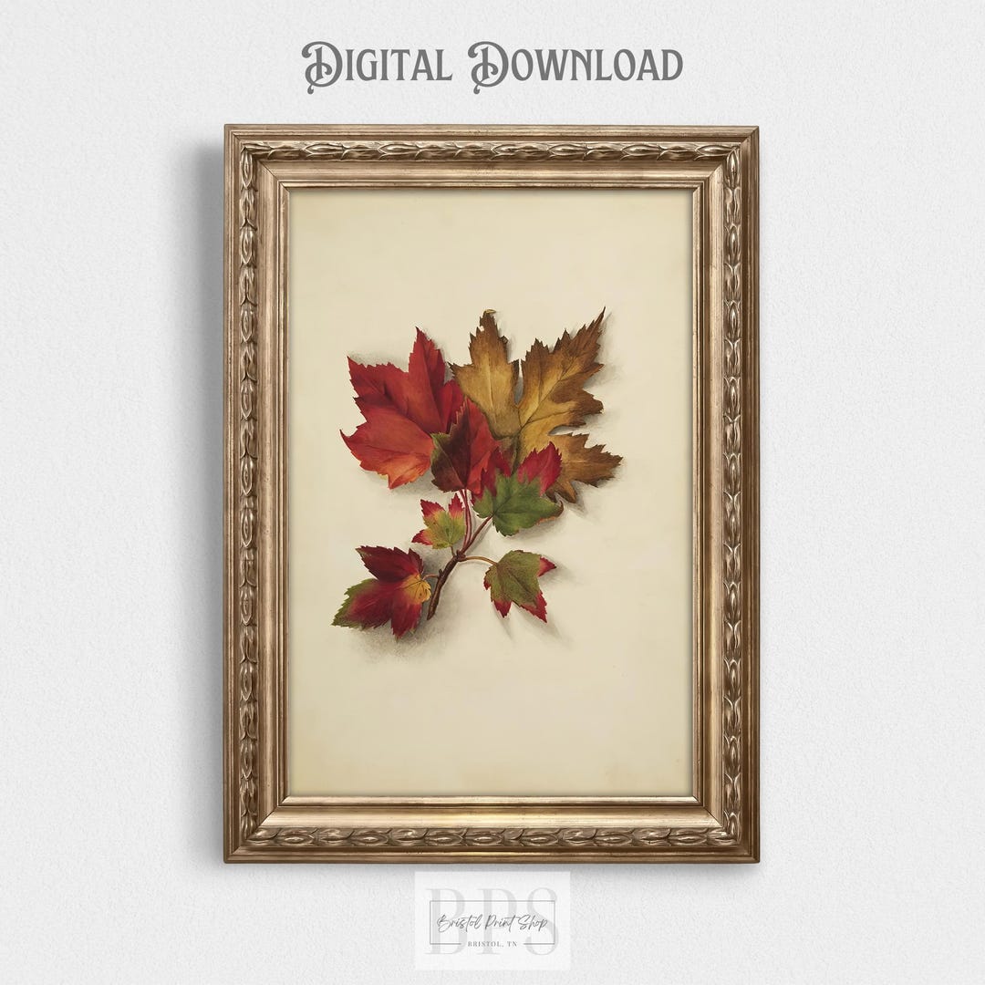 Vintage 1874 Autumn Leaves | Fall Leaf Print | Antique Wall Art | 19th ...