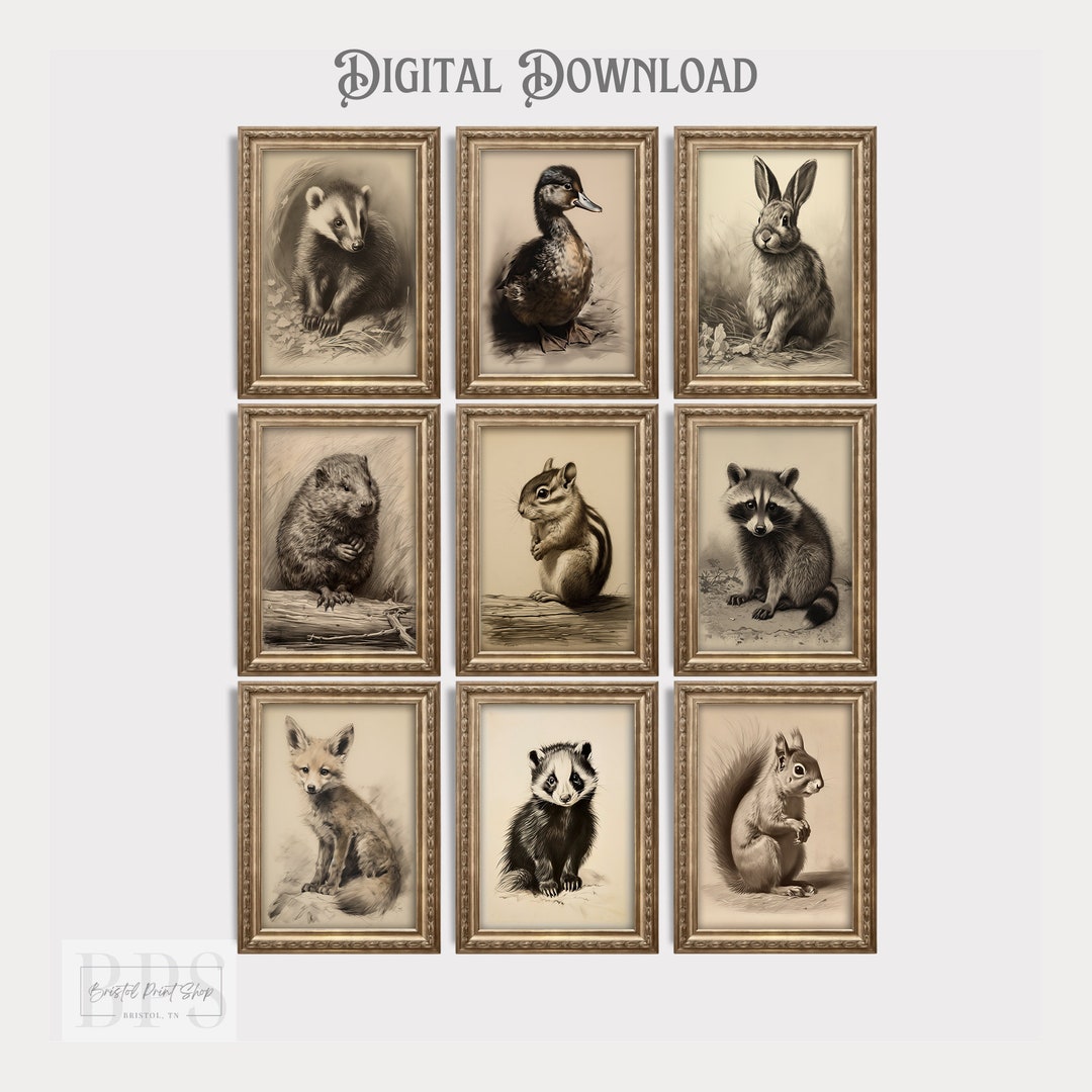 Antique Style Woodland Baby Animals 9 Print Set| Nursery Decor ...