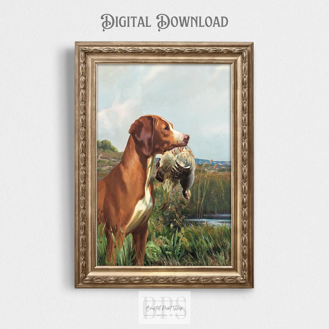 Vintage Hunting Dog Art | Antique Pointer Wall Art | 1904 Retreiver ...
