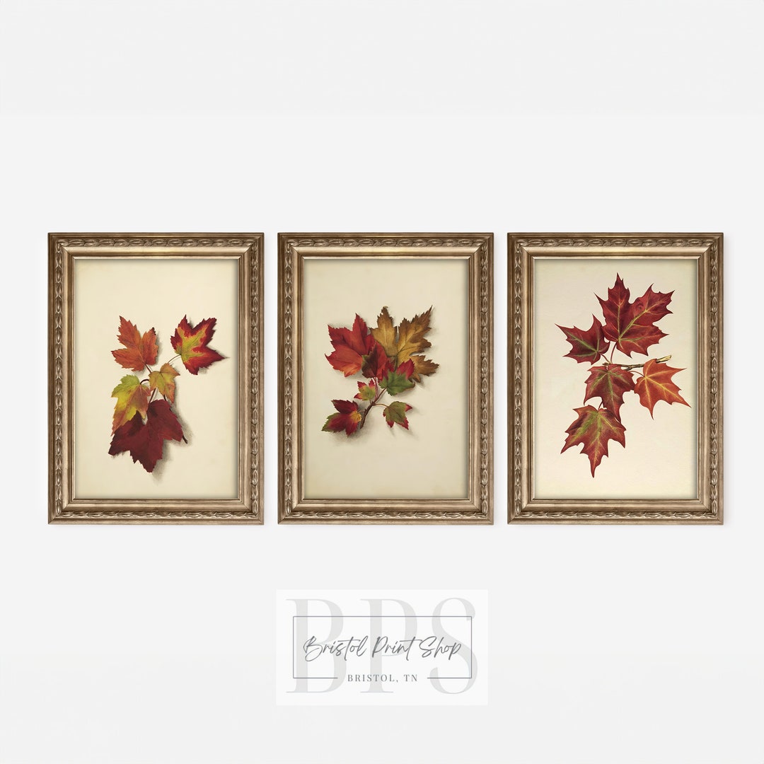 Vintage Autumn Leaves Watercolor Set Warm Tones Home Decor Fall Leaves ...