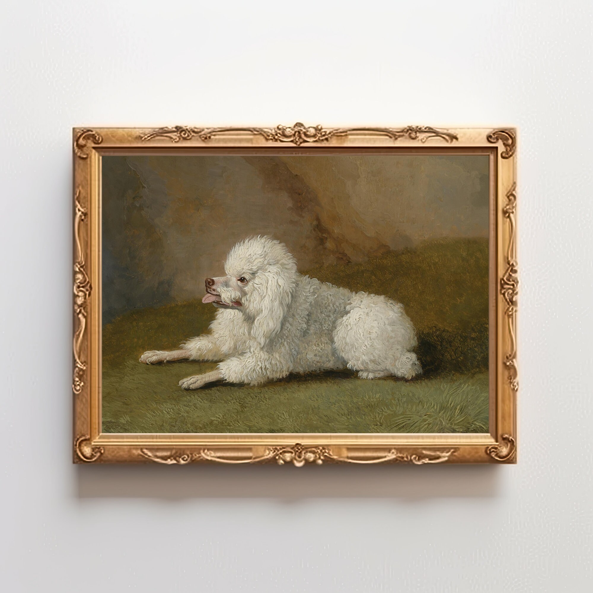 1795 Vintage Poodle Art Print | Adorable Sassy White Poodle Portrait ...