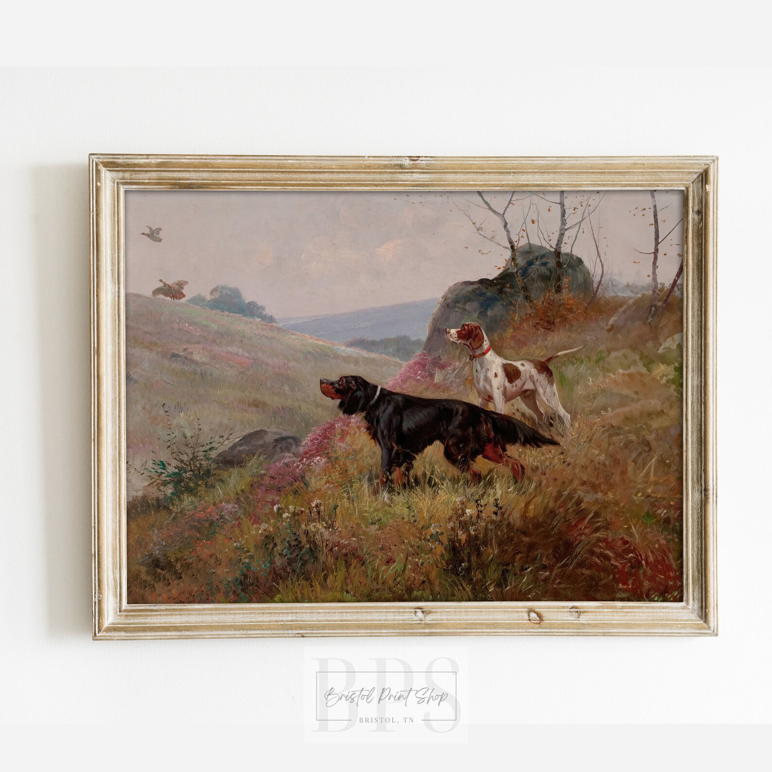 Vintage Hunting Dog Art | Duck Hunting | Setter | Antique Pointer Wall ...