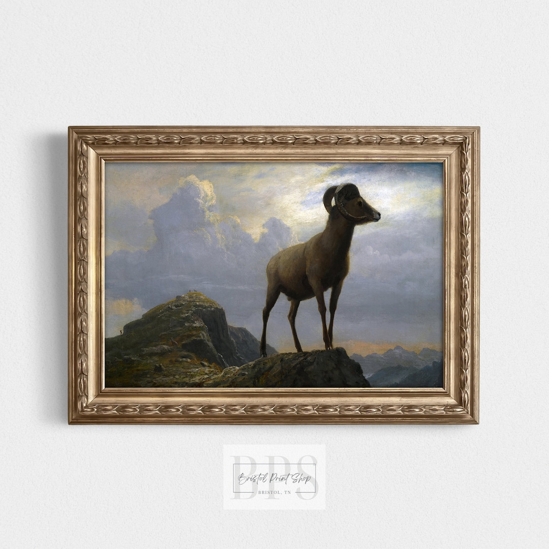 Vintage Ram Art | Bighorn Ram on Mountain Top Painting | Cloudy Sky ...