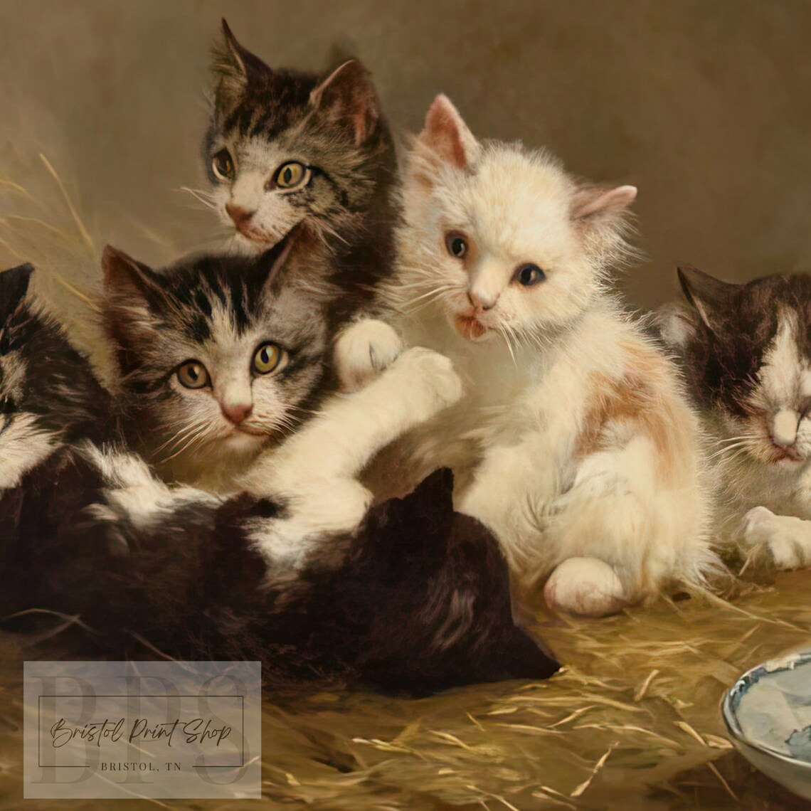 Vintage 1892 Kittens Playing Print Colorful Cat Print - Etsy