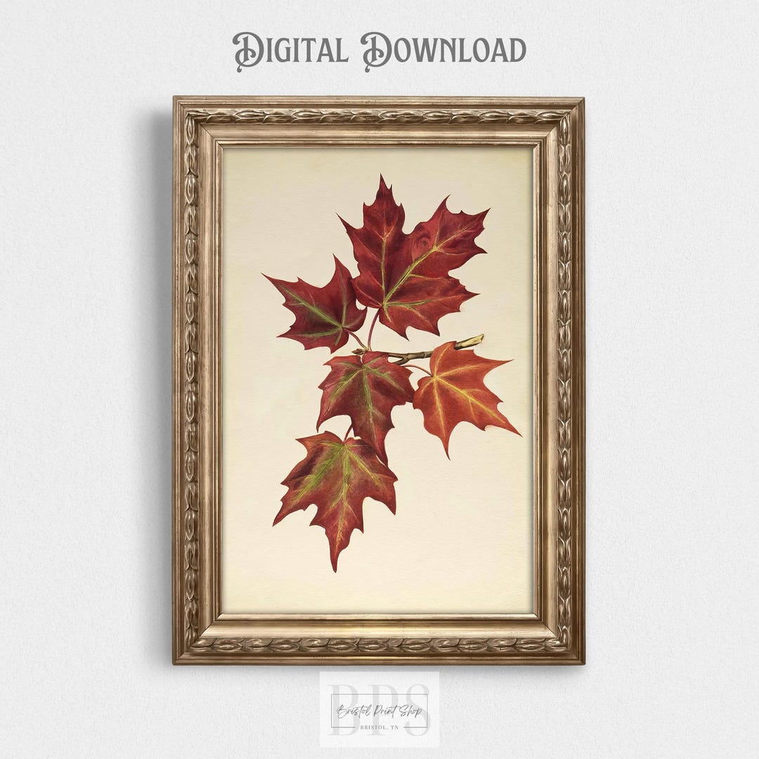 Vintage 1877 Autumn Leaves | Fall Leaf Print | Antique Wall Art | 19th ...