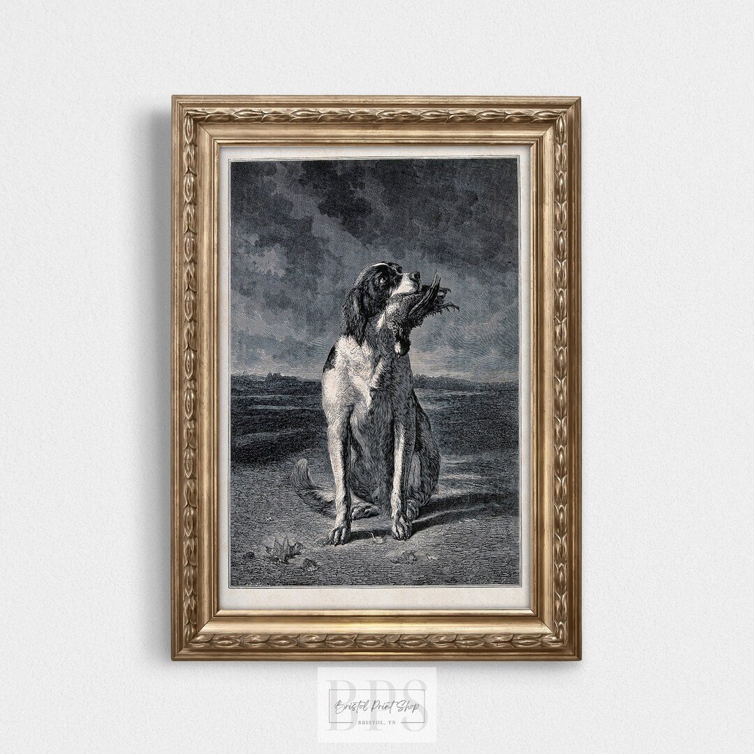 Vintage Hunting Dog Art | Bird Dog Print | Antique Woodland Wall Art ...
