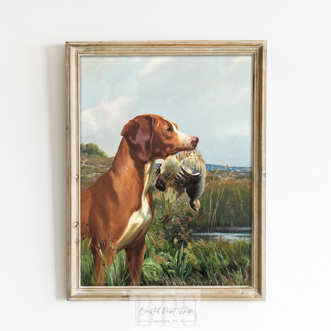 Vintage Hunting Dog Art Antique Pointer Wall Art 1904 Retreiver ...