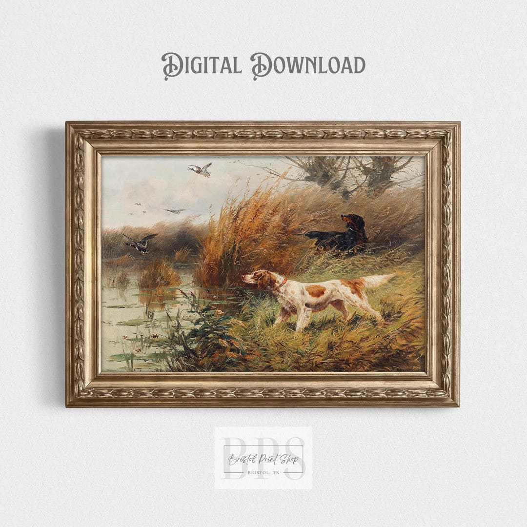 Vintage Hunting Dog Art | Duck Hunting | Setter | Antique Pointer Wall ...