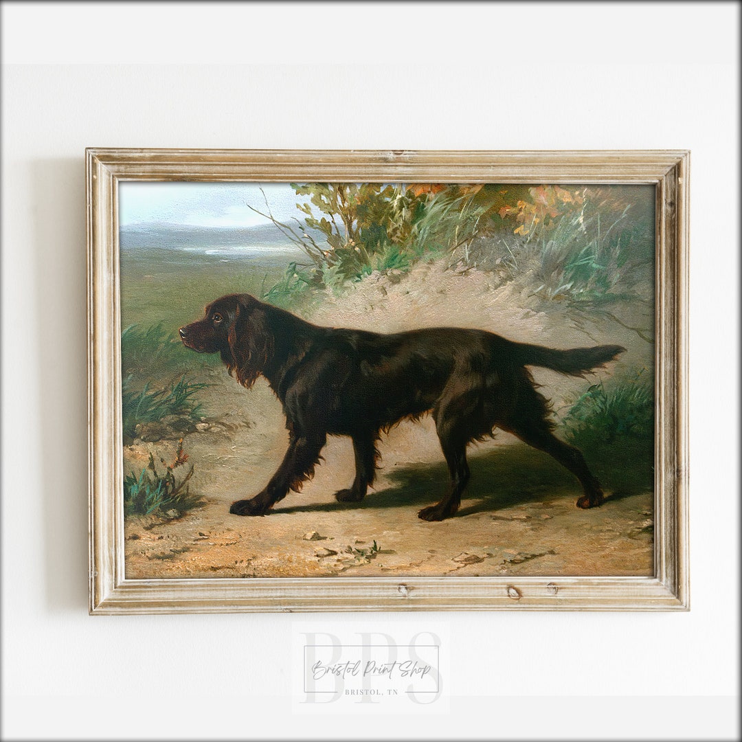 Vintage Hunting Dog Art Antique Irish Setter Wall Art 19th Century ...